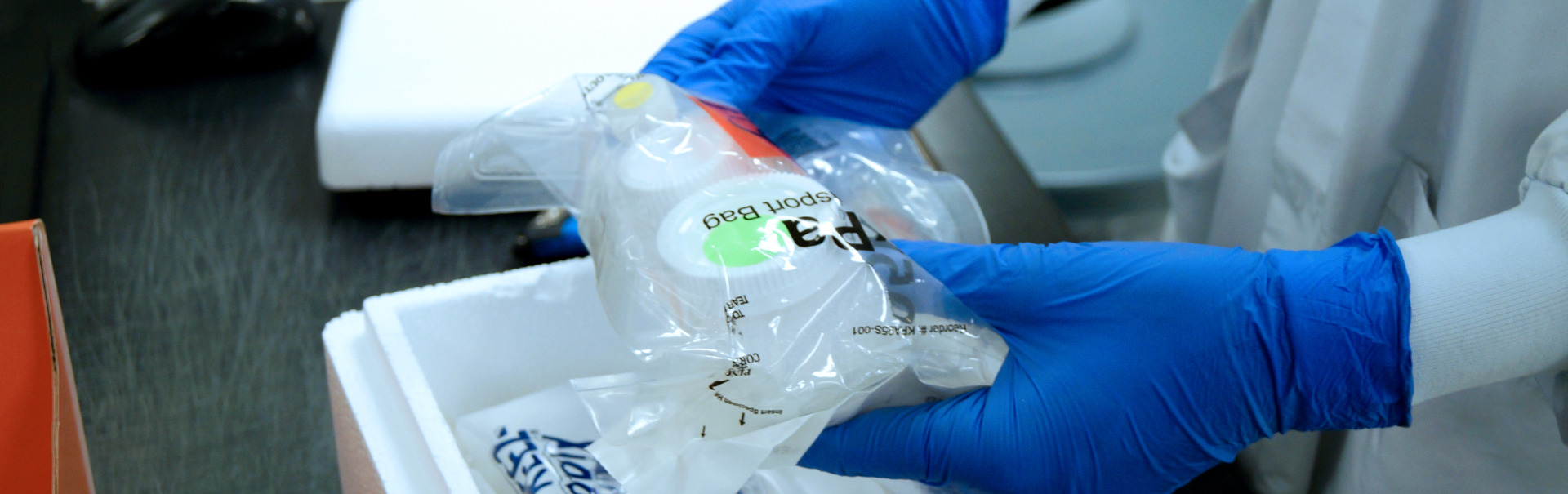 Skin Biopsy - Therapath Neuropathology